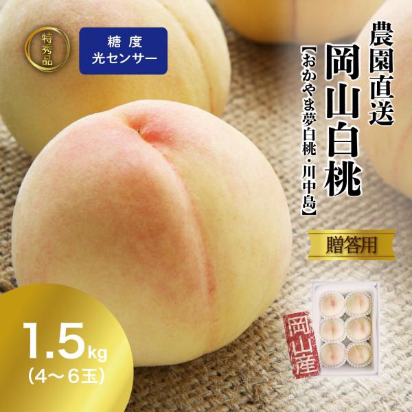 特秀品 桃 糖度センサー 白桃 岡山白桃  1.5kg前後  モモ もも momo 贈答 ギフト おかやま夢白桃 川中島 産直 高級 フルーツ 果物 くだもの プレゼント お見舞い お供え 旬 お中元 贈り物 北海道沖縄一部地域配送 送料無...
