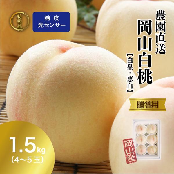 特秀品 桃 糖度センサー 白桃 岡山白桃  1.5kg前後  モモ もも momo 贈答 ギフト 白皇 恵白 産直 高級 フルーツ 果物 くだもの プレゼント お見舞い お供え 旬 お中元 お礼 はくおう めぐみはく