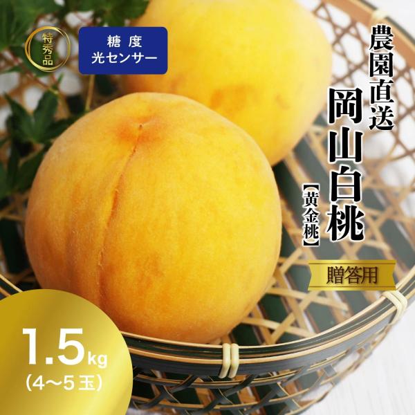 特秀品 桃 糖度センサー 黄金桃  1.5kg前後  モモ もも momo 贈答 ギフト 黄金桃 産直 高級 フルーツ 果物 くだもの プレゼント お見舞い お供え 旬 北海道沖縄一部地域配送不可 贈答品 贈り物 敬老の日