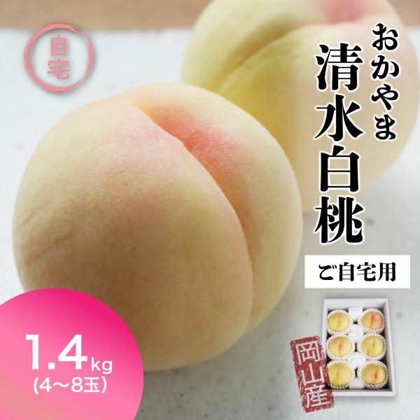 ご自宅用お試しサイズ 桃 白桃 清水白桃 1.4kg前後 はくとう 家庭用 クール冷蔵 ケース もも momo 高級 フルーツ 果物 くだもの 美味しい 家族で楽しむ 個数指定不可 返品交換不可 北海道沖縄一部地域配送不可 送料無料