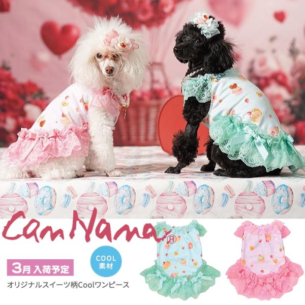 パステルカラーのｃｏｏｌ素材に、たっぷりスイーツをちりばめてラブリーに仕上げてワンピース。涼やかさを併せ持つ素材に加えて、袖や裾のレース、首元のチュールフリルでも見た目の清涼感を演出します。サイズ：SS/S/S＋M/M/Lカラー：ピンク/ミ...