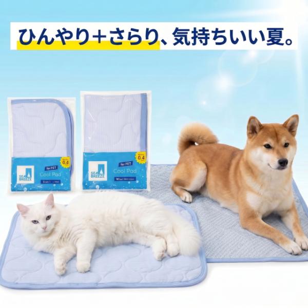 ひんやりだけじゃない嬉しい機能がプラス。さらりとした使い心地で快適！□Q-MAX 0.4以上の接触冷感生地です。□裏は吸汗性に優れたメッシュ生地のためリバーシブルで使えます。□中綿には抗菌防臭加工に吸放湿加工をプラス。衛生的でムネにくいので...