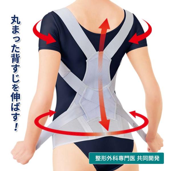 【商品名】お医者さんのがっちり背すじベルト【材質】ナイロン・ポリエステル・ポリウレタン【適応ウエスト(約)】M〜L：65〜85cmL〜LL：75〜95cm【カラー】ライトグレー【生産国】日本製【洗濯表示】手洗い【ご注意】※画面上と実物とでは...