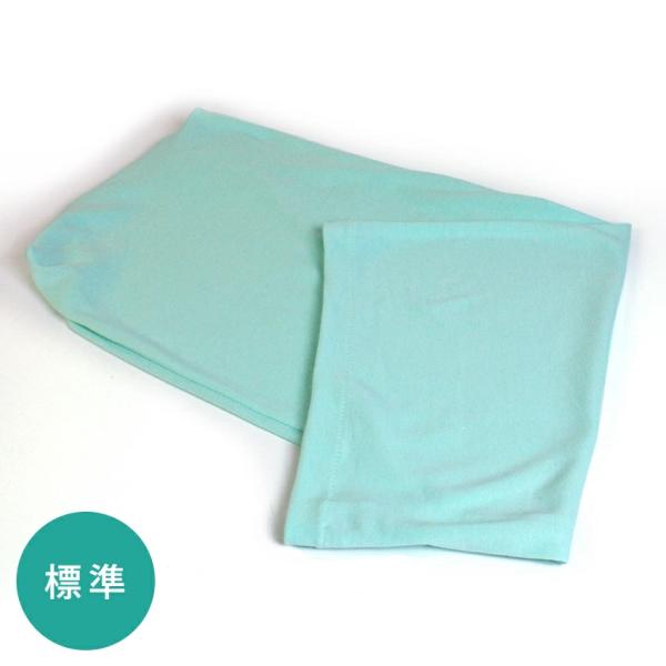 ■サイズ…奥行23cm×幅60cm×高さ8cm■素材…綿100％■生産国…日本※メール便可能です。アスシア枕（レギュラー）専用の枕カバーです。