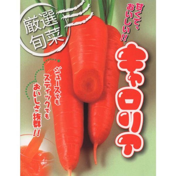 ・抗酸化作用のあるカロテンが、従来品種よりも多く含まれます・越冬してから食べるとより甘くておいしい！・春・夏蒔き兼用の中生種。