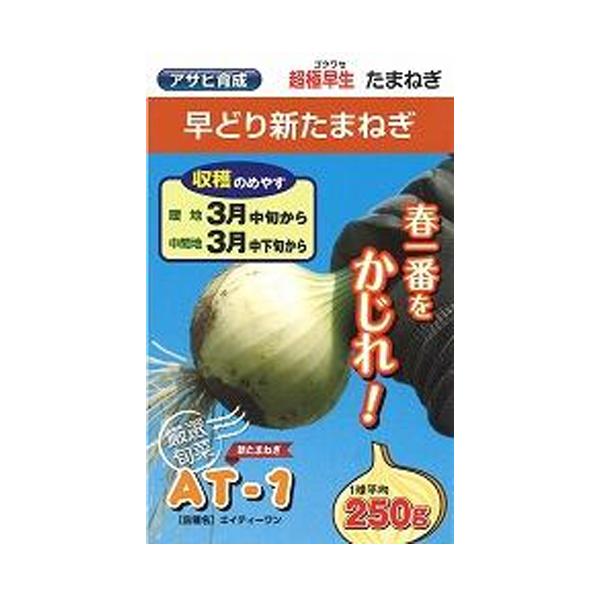 ・暖地なら3月中旬から収穫できます。・春一番に食べたいならコレ！・みずみずしく、甘味があるので、サラダに最適！