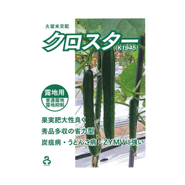 ・果形の安定性と果揃いが良く、秀品率が高い。・後半まで樹勢を維持できるスタミナ振群の多収品種。・炭疸病、うどんこ病、ZYMVに強い耐性を持つ・果実肥大しながら長期に渡り樹勢を維持できるため安定した収量となる。・おすすめ台木は黒竜・昇竜