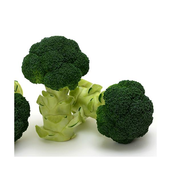 ・この商品は野菜のタネです・播種後95日程度の中早生品種。・草勢は強く、草姿は立性。花蕾位置は高く、収穫作業が容易。・花蕾は濃緑色で粒揃いは良い。・ボトニングにも強く、春作にも向く。