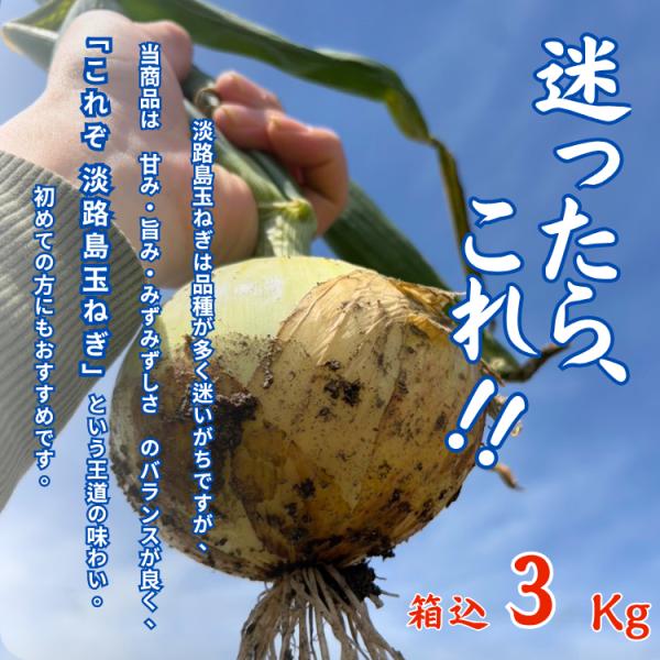 淡路島産の新玉ねぎを農家から直送でお届けします。甘み・旨み・みずみずしさのバランスが良く、辛みが少ないのが特徴です。生のままオニオンスライスやサラダにはもちろん、加熱するとさらに甘みが増し、カレー・オニオンスープ・肉じゃが・炒め物など幅広い...