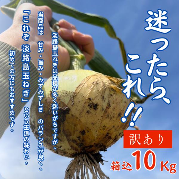 淡路島産の新玉ねぎを農家から直送でお届けします。甘み・旨み・みずみずしさのバランスが良く、辛みが少ないのが特徴です。生のままオニオンスライスやサラダにはもちろん、加熱するとさらに甘みが増し、カレー・オニオンスープ・肉じゃが・炒め物など幅広い...