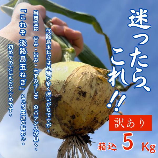 淡路島産の新玉ねぎを農家から直送でお届けします。甘み・旨み・みずみずしさのバランスが良く、辛みが少ないのが特徴です。生のままオニオンスライスやサラダにはもちろん、加熱するとさらに甘みが増し、カレー・オニオンスープ・肉じゃが・炒め物など幅広い...
