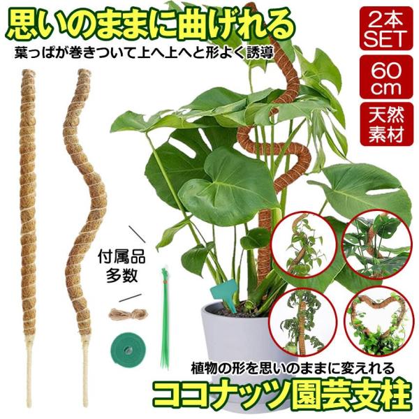 ■庭園DIY■弊社の曲がる園芸支柱は約60cmで、ハート型、アーチ型、曲線型など、お好みの形状に自由自在に曲げることができます植物が育つのを助けるモンステラポトス、トマトなどの植物やつる性の観葉植物の栽培に最適ですお好みの形状に自由自在に曲...