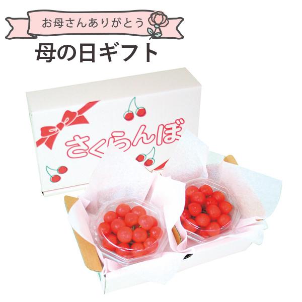 小さくて可愛いさくらんぼに、お母さんもにっこり笑顔。●ハウスさくらんぼ佐藤錦秀品M~Lサイズ(山形県産)計100g×2●箱サイズ：約22.5×14×6cm●重量：約350g▼出荷地：山形県梱包詳細：商品→プラパック→化粧箱→送状常温配送掲載...