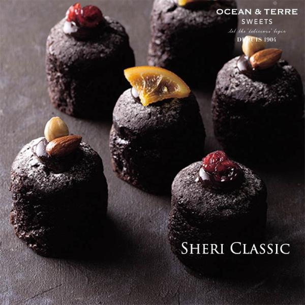 バランスのとれた風味と程よい甘さのベルギー産ダーク・クーベルチョコレートを使用した小さなクラシックショコラ。芳醇なカカオの香りとナッツ、クランベリー、オレンジのフレーバーが口いっぱいに広がります。　　　　　ガトーショコラ オレンジ×1、ガト...