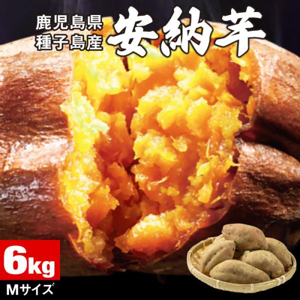 ◇名称安納芋（生芋）◇産地名国産（鹿児島県種子島産）◇内容量6kg※サイズや個数にはバラつきがあります。