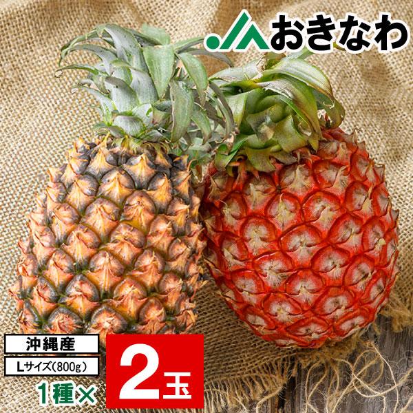 ◇商品説明生産農家が少ない特別な品種！小ぶりで扱いやすいパイナップルです。ピーチパインの特徴[1]パインなのに桃のような香り[2]酸味が少なくて甘みとのバランスがよい[3]柔らかな食感[4]芯まで食べられるのでくり抜いて器代わりにできる◇名...