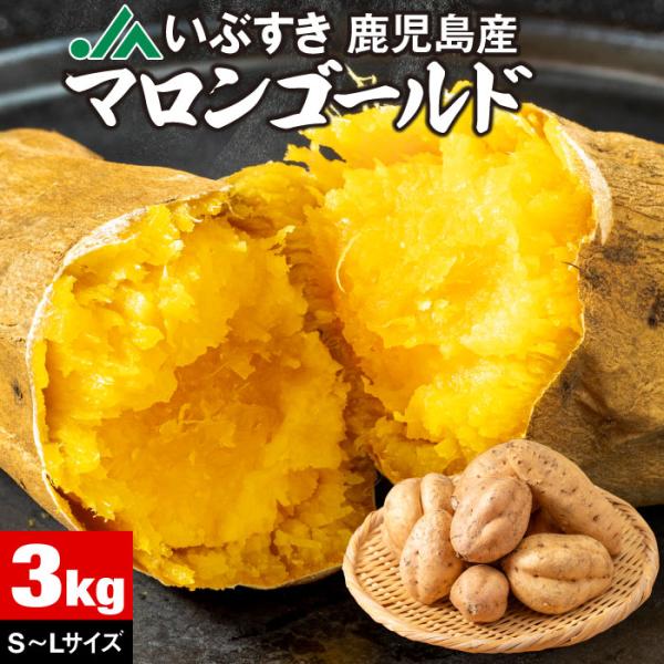 ◇名称マロンゴールド（生芋）◇産地名国産（鹿児島県産）◇内容量3kg※サイズや個数にはバラつきがあります。◇商品説明マロンゴールドという名称はJAいぶすきの登録商標となっています。栗黄金（くりこがね）と呼ばれるさつま芋の品種の中でも、鹿児島...