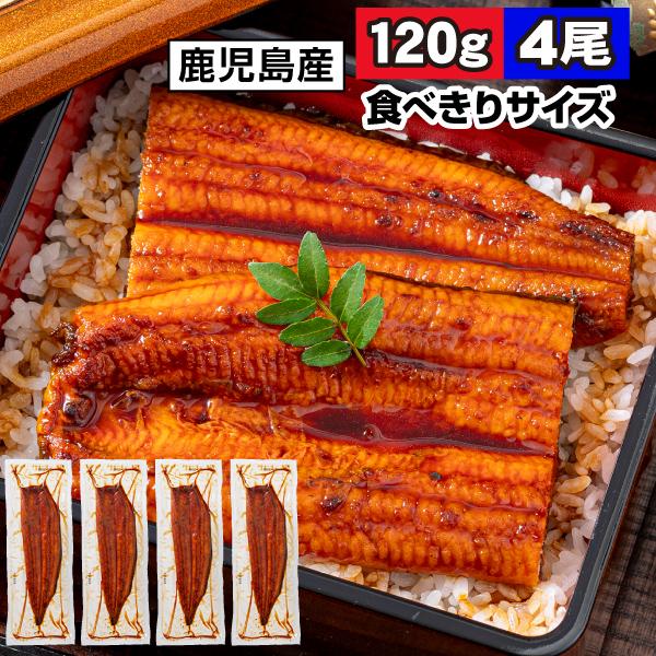 鹿児島県産うなぎの蒲焼を1尾ずつ真空パックにしてお届けします。豊富な天然地下水で、餌にまでこだわって養殖されたうなぎは、こんがり香ばしく、身もふっくらでやわらか！上質な脂がのった、おいしいうなぎの蒲焼をお愉しみください。◇名称うなぎ蒲焼◇産...