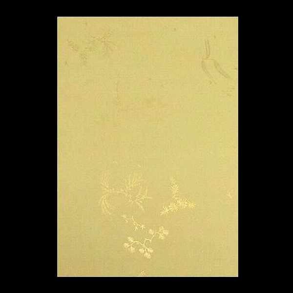 ■店長からの一言■古風な色彩に高級感漂う格調高い料紙です。表面はすべりが良く連綿の伸びが奇麗に表現できます。