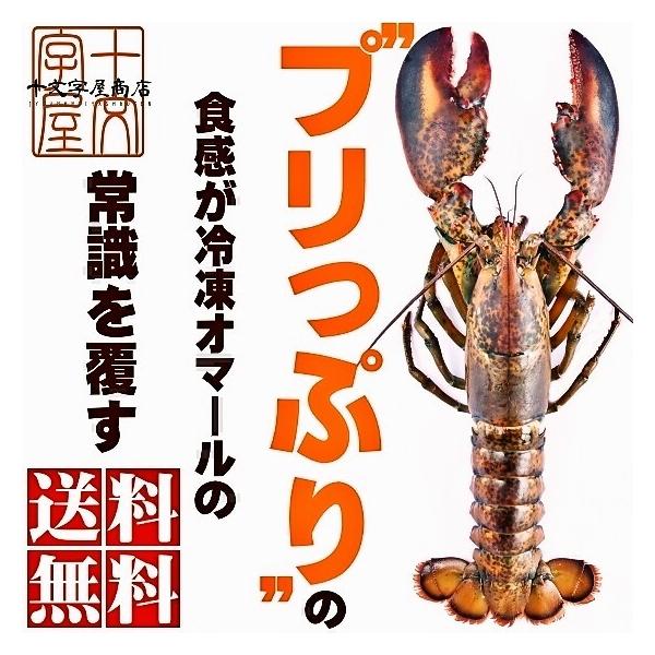 【名称】：オマールロブスター（オマール海老）【内容量】：1尾（400〜450ｇ）×5尾【産地】：カナダ産【原材料】：オマールロブスター【保存方法】：−１８℃以下で保存【賞味期限】：家庭用冷凍庫冷凍１ヶ月【配送方法】：クール便（冷凍）ウルトラ...