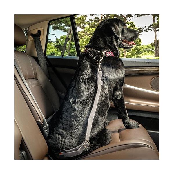 イーサンは、車でお出かけの際【キャリー】に入らないサイズの犬種にオススメのアイテムです！簡単に装着でき、ペットの突発的な動きや、車の急停車で、ペットが放り出される危険性を防ぐアイテムです。強度と湿気に強いステンレス、ベルト部分は強度と耐久性...
