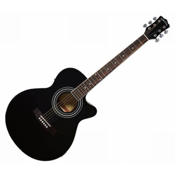 エレアコギター  EAW-01