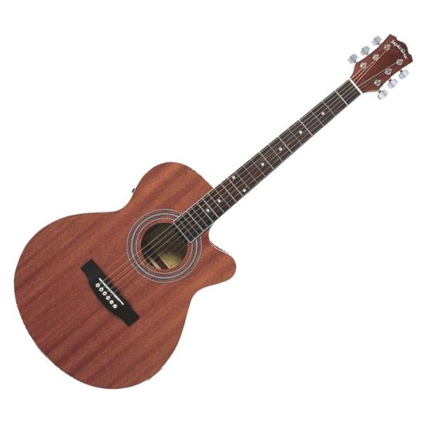 エレアコギター  EAW-01