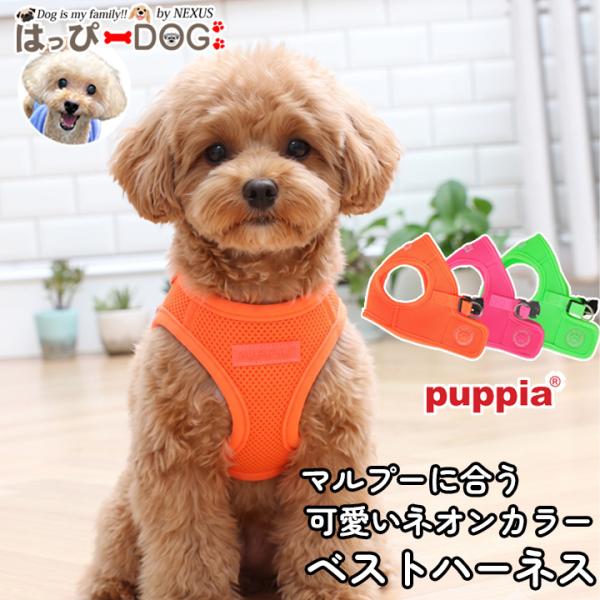 マルプーとの毎日のお散歩を、もっとおしゃれに♪世界中で愛用されているペットファッションブランド「PUPPIA（パピア）」のハーネスです。ふんわりとしたマルプーの毛色に映える、鮮やかなネオンカラーがポイント。いつものお散歩スタイルにプラスする...