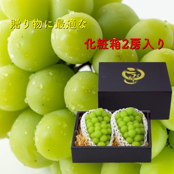 化粧箱入りなのでギフトに最適♪約600ｇ〜700ｇのシャインマスカットを2房入り♪でお届け致します。シャインマスカットの糖度は20度程度と高く、酸味が抑えられて甘く感じられます。また、種がなく皮が薄いことから、そのまま食べられるのが大きな特...