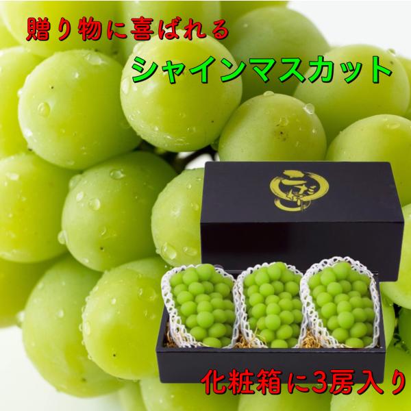化粧箱入りなのでギフトに最適♪約600ｇ〜700ｇのシャインマスカットを3房入り♪でお届け致します。シャインマスカットの糖度は20度程度と高く、酸味が抑えられて甘く感じられます。また、種がなく皮が薄いことから、そのまま食べられるのが大きな特...