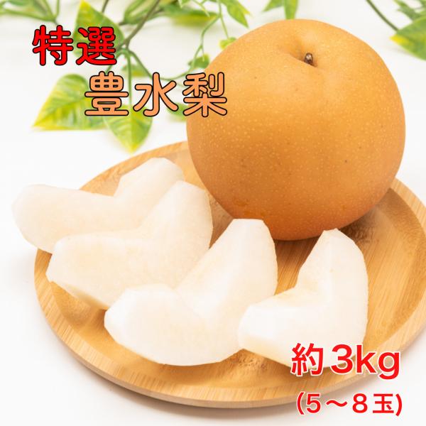 夏バテ気味でも梨なら口当たり良くて食べやすい♪お世話になった方へお送りすると大変喜ばれます。もちろんご自宅用としてもＯＫです。赤梨「豊水」少し大きめの品種で、甘みと酸味のバランスがよく、果汁が非常に多い のが特徴