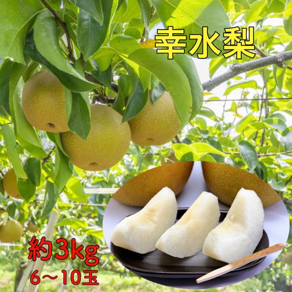 日時日時指定は出来ませんが、時間指定は可能です。クール発送致します。夏バテ 気味でも梨なら口当たり良くて食べやすい♪お世話になった方へお送りすると大変喜ばれます。もちろんご自宅用としてもＯＫです。赤梨「幸水」みずみずしくて、果汁も多く、甘味...