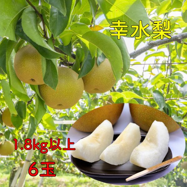 日時日時指定は出来ませんが、時間指定は可能です。クール発送致します。夏バテ 気味でも梨なら口当たり良くて食べやすい♪お世話になった方へお送りすると大変喜ばれます。もちろんご自宅用としてもＯＫです。赤梨「幸水」みずみずしくて、果汁も多く、甘味...