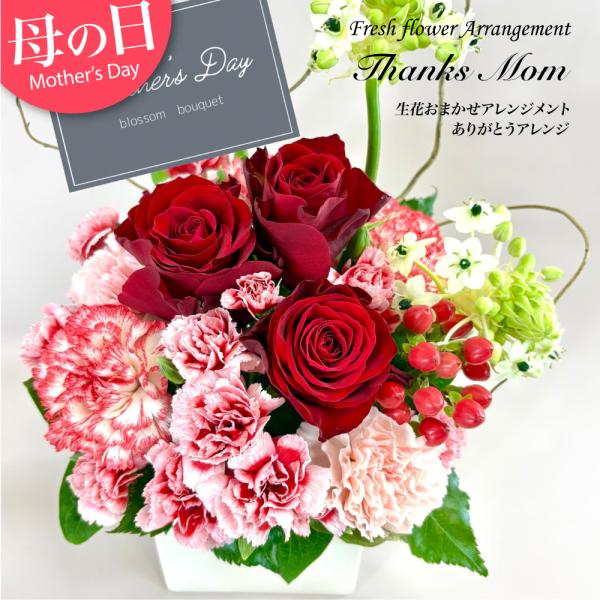 ■仕様・規格：商品サイズ目安：H32×W26×D20cm■素材：花=生花■注意事項：・花材の準備が出来次第最短で出荷いたしますが、母の日以降の到着となります。ご了承の上お買い求めください。・日付のご指定はできません。・北海道・沖縄・離島への...