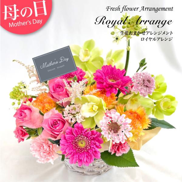 ■仕様・規格：商品サイズ目安：H36×W37×D27cm■素材：花=生花■注意事項：・受注期間は2026年5月5日12時までとなります。注文数により早期に受付終了となる場合がございます。なおご注文後、受注期間までに決済または入金が完了されな...