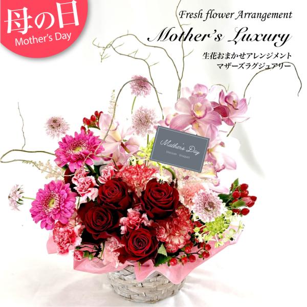 ■仕様・規格：商品サイズ目安：H60×W50×D35cm■素材：花=生花■注意事項：・受注期間は2026年5月5日12時までとなります。注文数により早期に受付終了となる場合がございます。なおご注文後、受注期間までに決済または入金が完了されな...