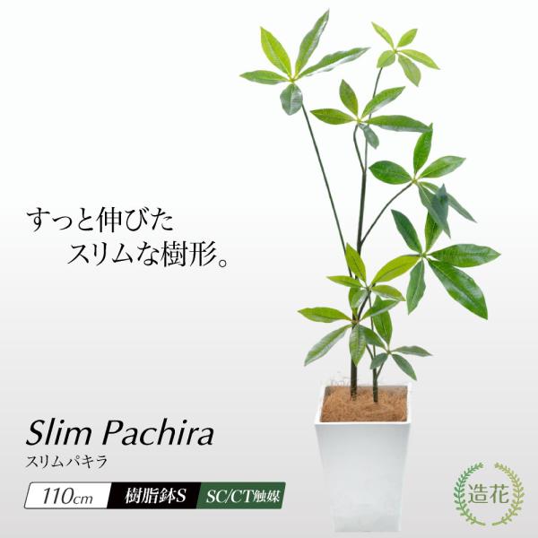 ■商品名：スリムパキラ [SC(CT)触媒加工済み]■仕様・規格：本体(鉢含む)=高さ約110cm、鉢=Sサイズ：上辺20cm・下辺14.5cm・高さ27cm(他の鉢をご希望の方は当店までご連絡下さい)■素材：本体・葉=ポリエステル・ポリエ...
