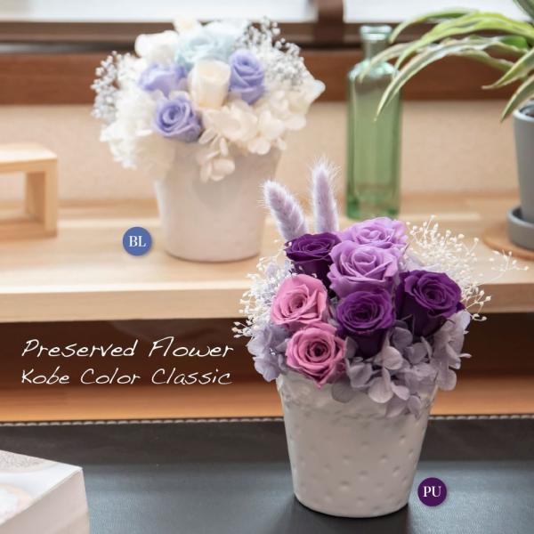 ■サイズ：高さ約15cm×12cm×12cm■素材：花材=プリザーブドフラワー(ローズミミ、ビビアン、ポアプランツ、シルバーカスミ、あじさい)、鉢=陶器■製造国：日本■付属品：クリアケース入■注意事項：入荷状況により、花材が変更になる場合が...