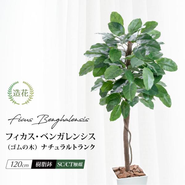 ■商品名：フィカス・ベンガレンシス（ゴムの木）[SC(CT)触媒加工済み]■サイズ：本体(鉢含む)=高さ約120cm、鉢=Sサイズ：上辺20cm・下辺14.5cm・高さ27cm■材質：本体=人工観葉植物(造花)、鉢=樹脂■生産国：日本■特徴...