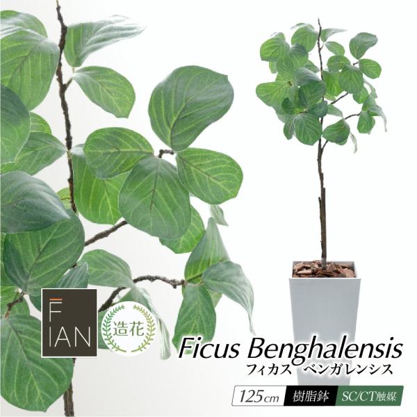 ■サイズ：本体(鉢含む)=高さ約125cm、鉢=Lサイズ（上辺25cm・下辺18cm・高さ46cm）■素材：本体=造花（人工観葉植物）、鉢=樹脂■注意事項：商品の枝は大変柔らかいため、根本の枝には支柱があり、枝を補強しております。基本取り外...