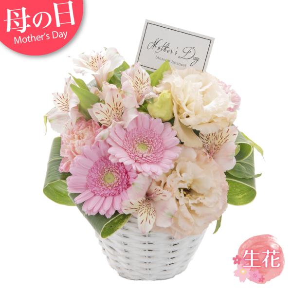 ■仕様・規格：約H25×W18cm■素材：花=生花（カーネーション・バラ・トルコギキョウ等）■注意事項：・受注期間は2026年5月5日12時までとなります。注文数により早期に受付終了となる場合がございます。なおご注文後、受注期間までに決済ま...