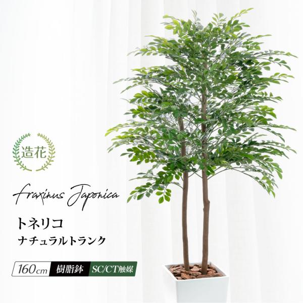 ■商品名：ナチュラルトランク トネリコ ツリー 160cm [SC(CT)触媒加工済み]■サイズ：本体(鉢含む)=全高約160cm、鉢=Lサイズ：上辺25cm・下辺18cm・高さ46cm■素材：枝葉=ポリエステル、幹=天然木使用（自然木のた...