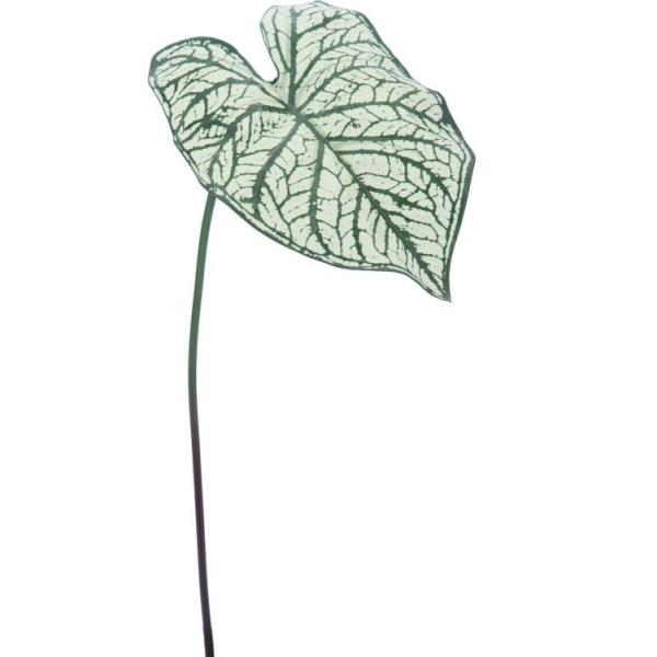 サイズ：全長50cm・葉長24cm素材：ポリエステル PE 鉄