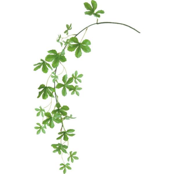 サイズ：全長50cm 葉長2.5〜5cm素材：PE ポリエステル 鉄