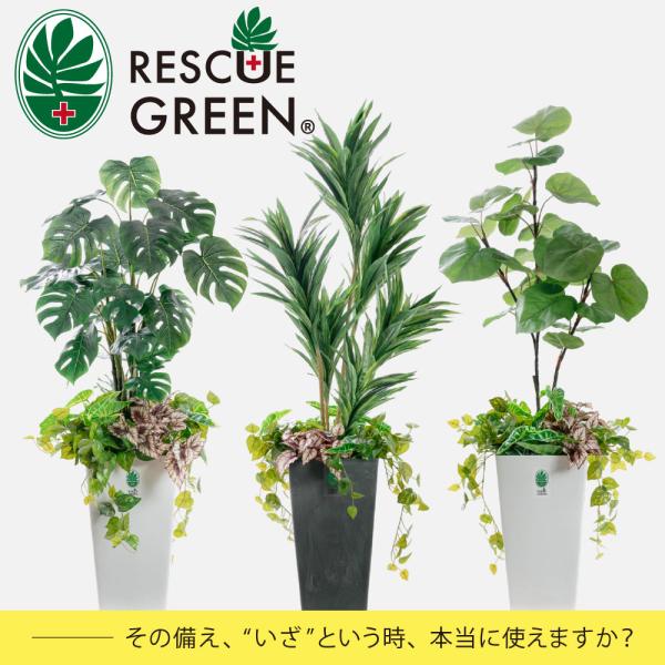 発売記念キャンペーン 10%OFFセール！■商品名：防災主任 木下まもる■仕様・規格：モンステラ=全高130cm、コルディリネ・ウンベラータ=全高150cm（鉢含む）／鉢=H46cm・□25cm（角鉢）■素材：本体・葉=造花(ポリエステル)...