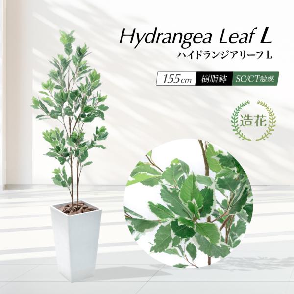 ■サイズ：本体(鉢含む)=高さ約155cm、鉢=Lサイズ：上辺25cm・下辺18cm・高さ46cm■素材：本体=造花(人工観葉植物)、鉢=樹脂■生産国：日本■注意事項：広げ方・個体差によりサイズは若干異なることがございます。■触媒：SC触媒...