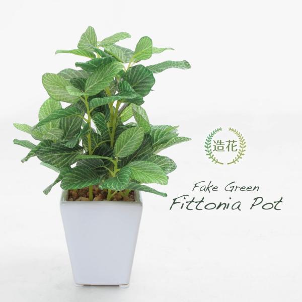 ■商品名：フィットニア鉢植■サイズ：本体(鉢含む)=高さ約19cm、鉢=幅6.5cm×奥行6.5cm×高さ7.5cm■材質：本体=人工観葉植物(造花)、鉢=陶器■生産国：日本※北海道・沖縄・離島は税込11000円以上でも別途送料が掛かります...