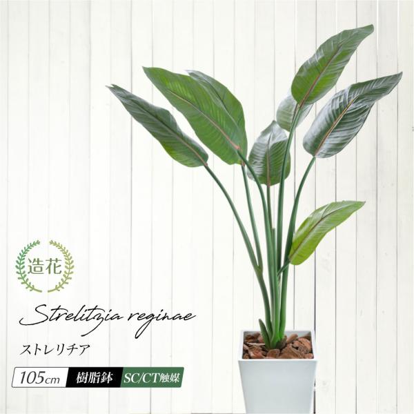 ■商品名：ストレリチア 樹脂鉢付[SC(CT)触媒加工済み]■サイズ：本体(鉢含む)=高さ約105cm、鉢=樹脂鉢Sサイズ：上辺20cm・下辺14.5cm・高さ27cm■特徴：ゆったり放射状に延びた存在感のある大きな葉がとてもスタイリッシュ...