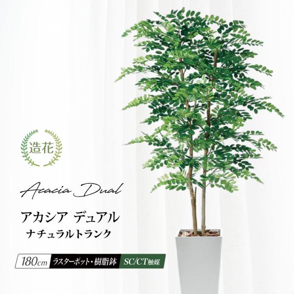 ■商品名：ナチュラルトランク アカシア デュアル 180cm [SC(CT)触媒加工済み]■サイズ：本体(鉢含む)=全高約180cm■本体材質：枝葉=ポリエステル、幹=天然木使用■選べる鉢(ポット)は3種類・ラスターポット(ポリプロピレン製...