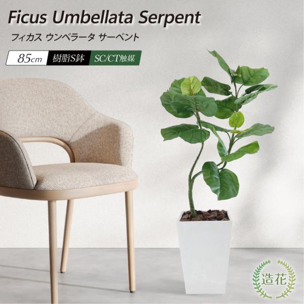 ■商品名：フィカス ウンベラータ サーペント[SC(CT)触媒加工済み]■規格・仕様：本体(鉢含む)=全高85cm（樹脂鉢Sサイズ付き）、鉢=Sサイズ：上辺20cm・下辺14.5cm・高さ27cm■素材：本体=人工観葉植物、鉢=樹脂■生産国...